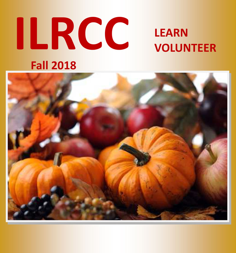 ILRCC Home - Independent Living Resource Centre Calgary