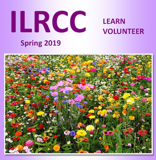 ILRCC Home - Independent Living Resource Centre Calgary